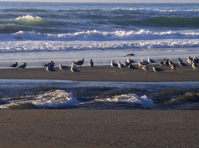 Nesika Beach – learning to live